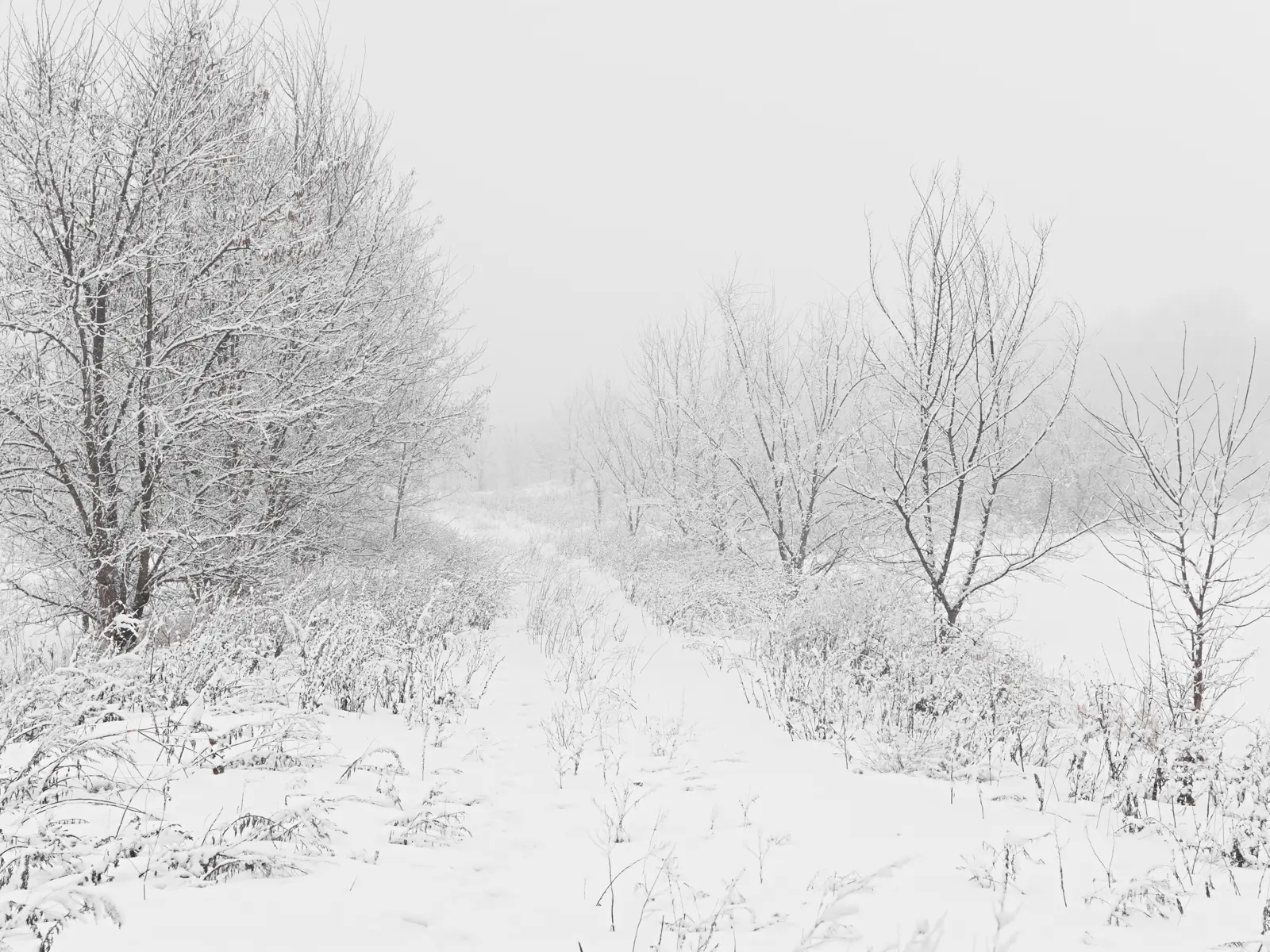 Weather & Emergency Updates | Township of Georgian Bluffs